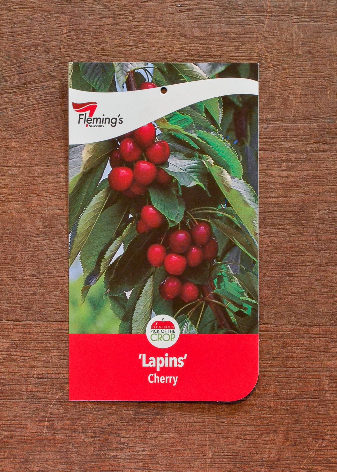 Cherry - Lapins - Guildford Garden Centre