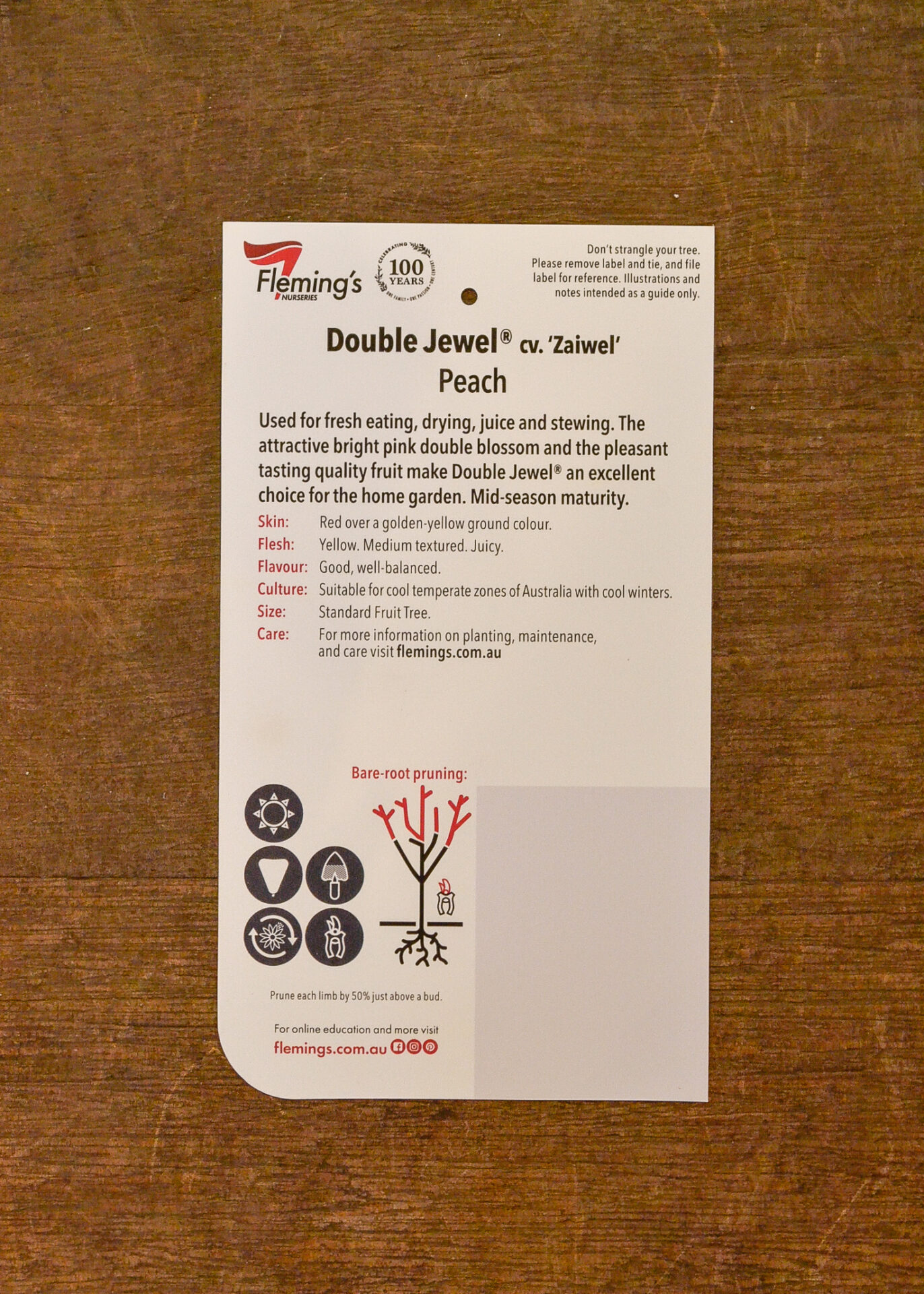 Peach - Double Jewel - Guildford Garden Centre