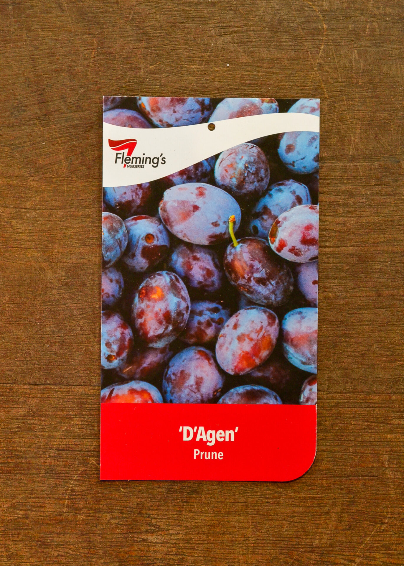 Plum - D'Agen (Prune) - Guildford Garden Centre