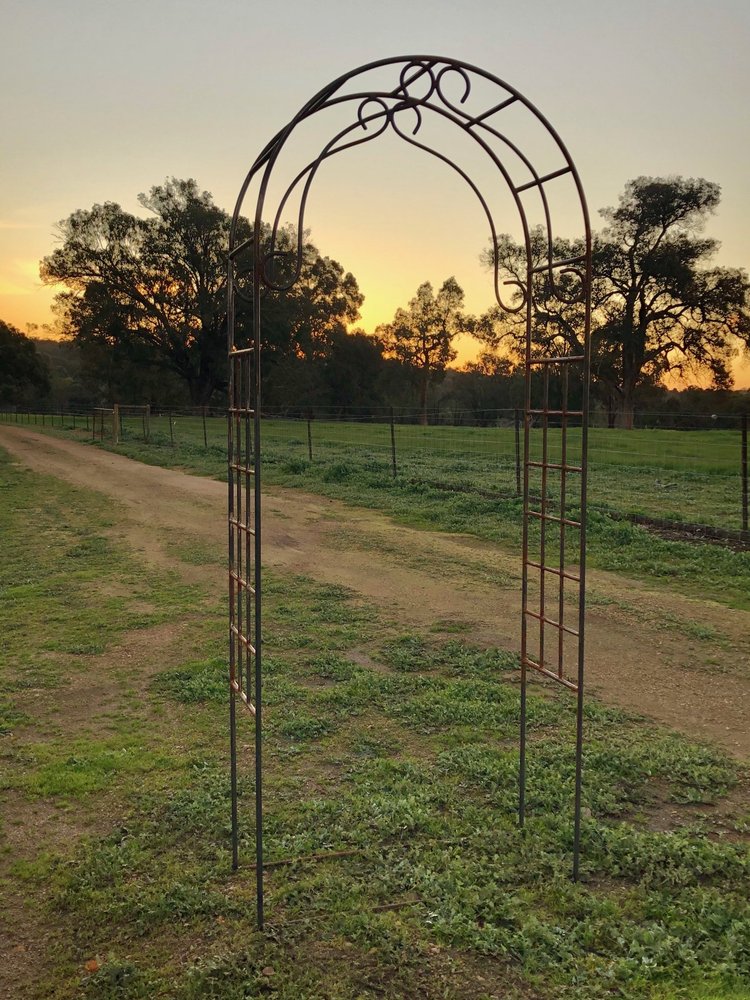 Garden Arch - Classic - Steel - Guildford Garden Centre