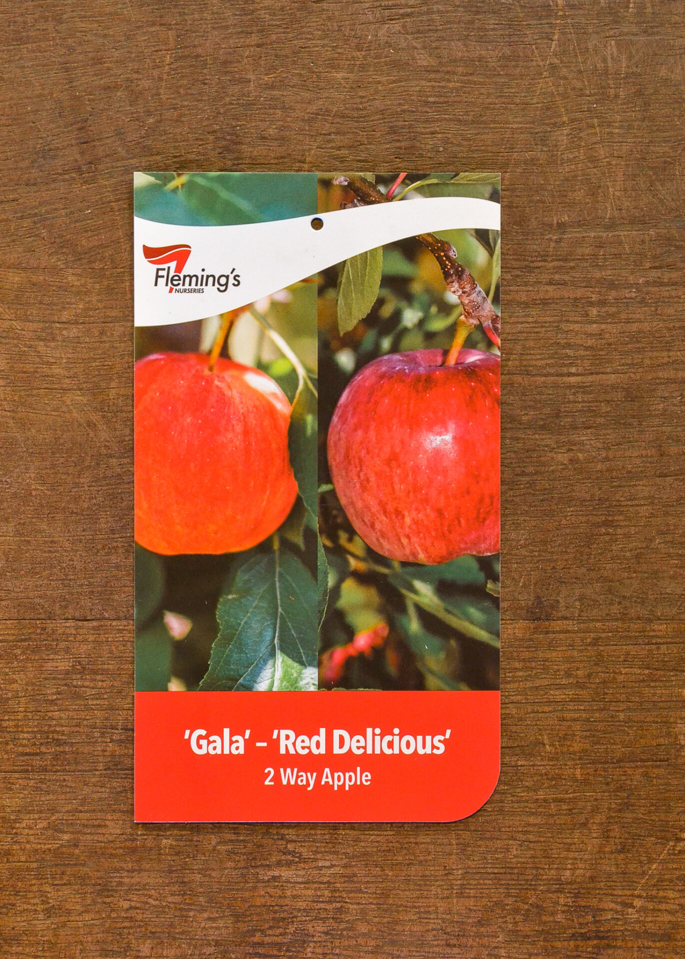 Apple Multi Graft - Gala/Red Delicious - Guildford Garden Centre