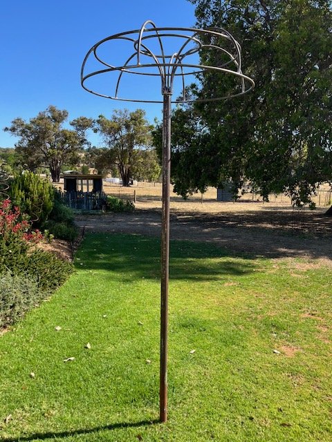 Growing Frame - Wisteria Support - Steel - Guildford Garden Centre