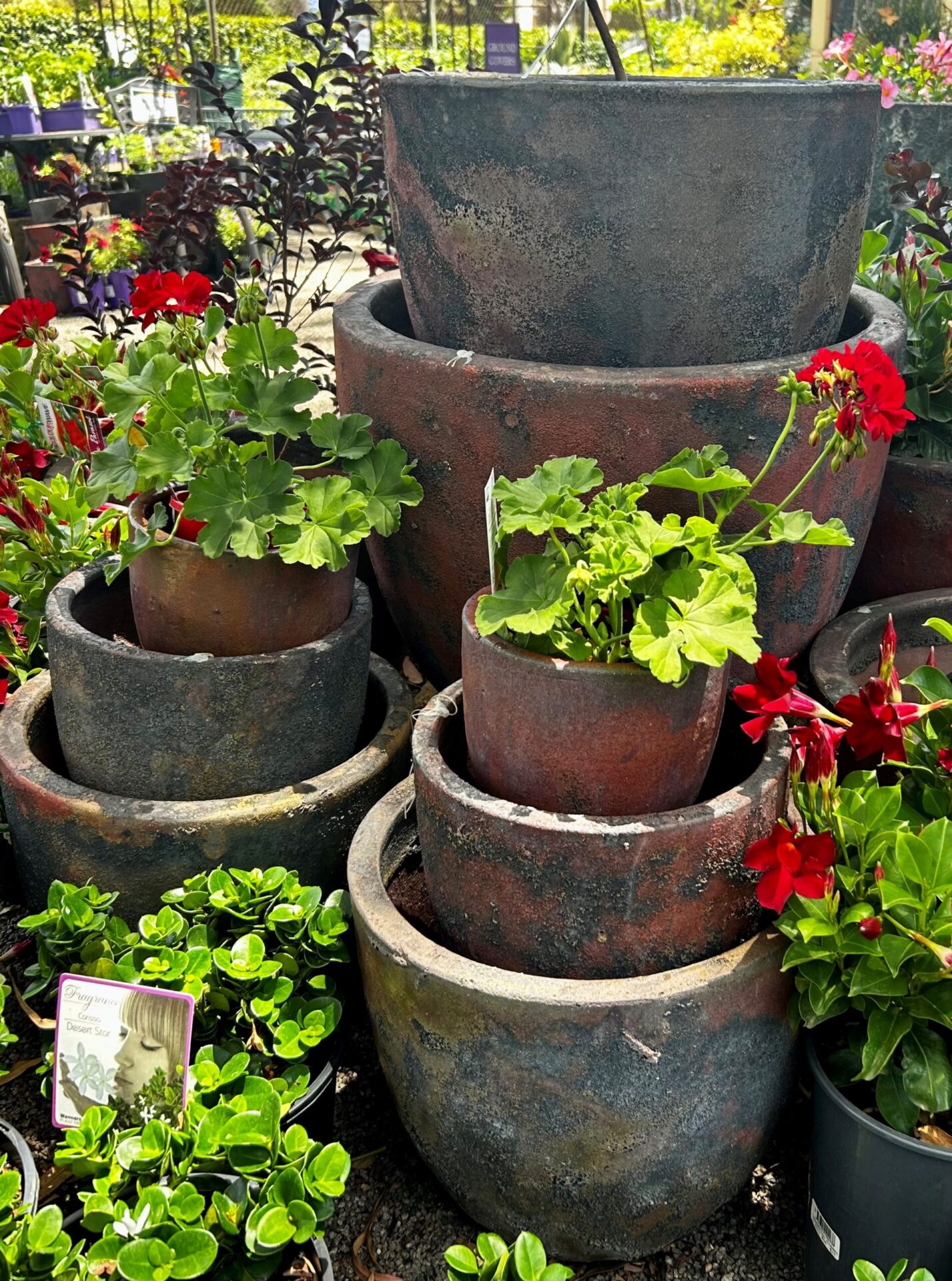 Pot - Montague Atlantis Egg Bronze - Ceramic - Guildford Garden Centre