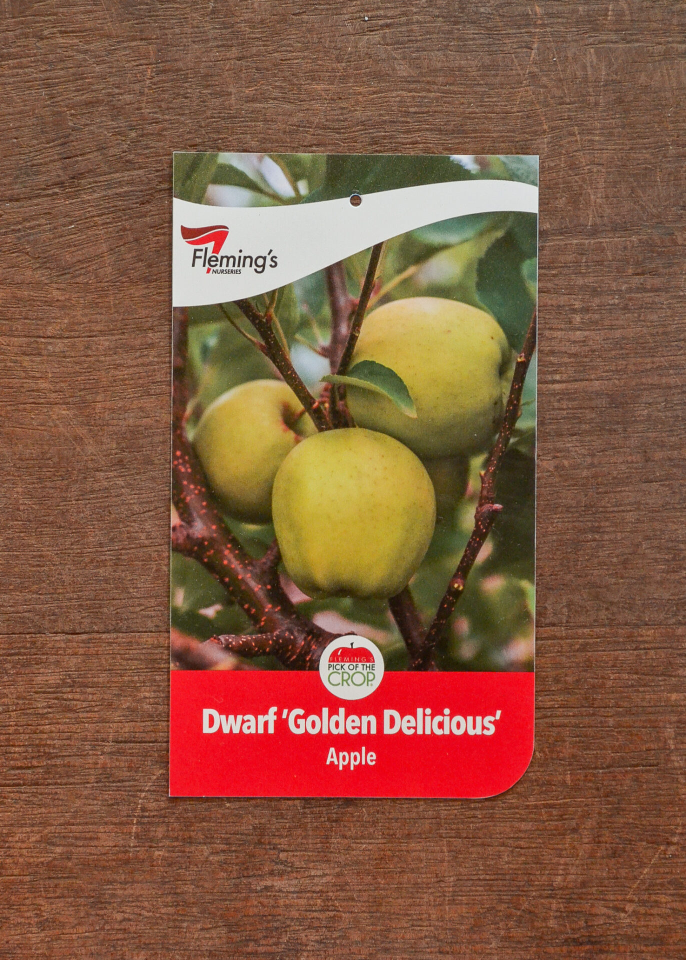 Apple - Golden Delicious Dwarf - Guildford Garden Centre