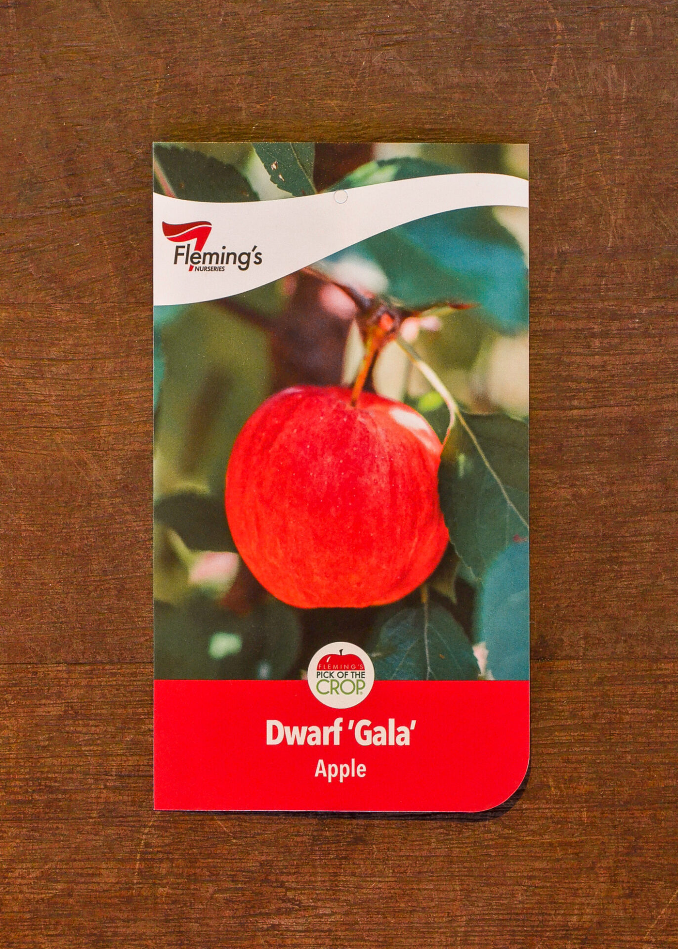 Apple - Gala Dwarf - Guildford Garden Centre