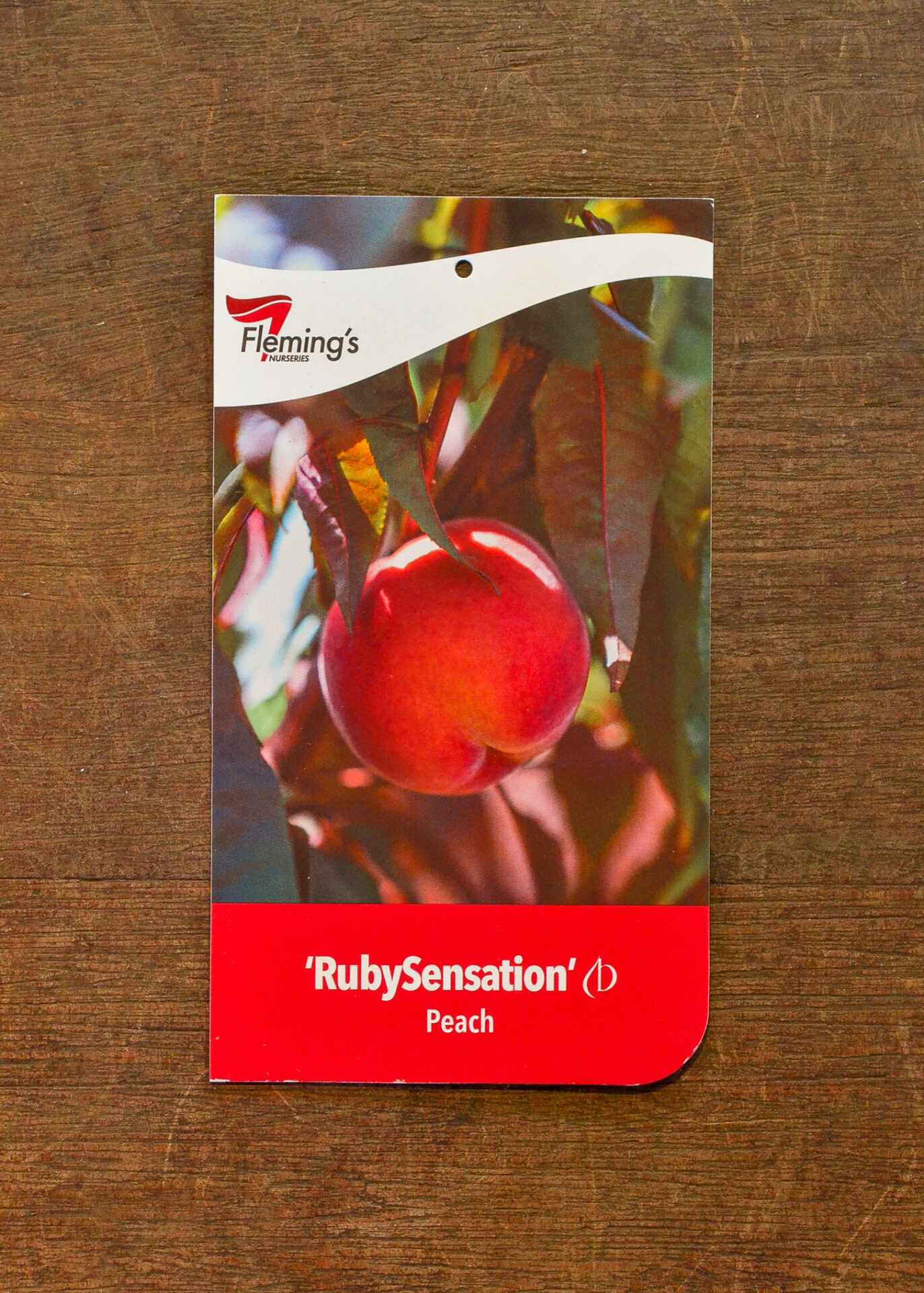 Peach - RubySensation - Guildford Garden Centre