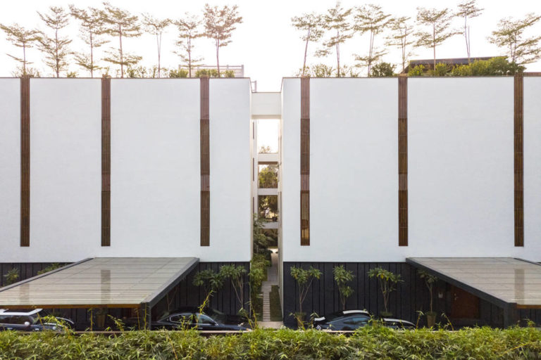 Studio Lotus | Lookbox Living