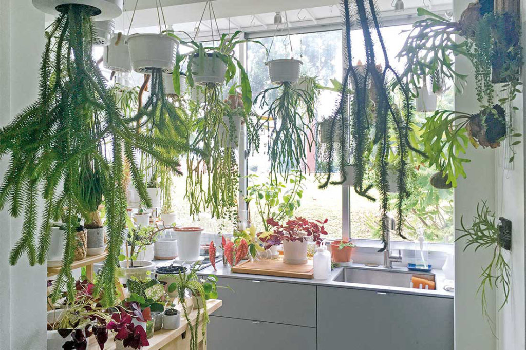 7 awesome indoor gardens you’ll want to make your own | Lookbox Living