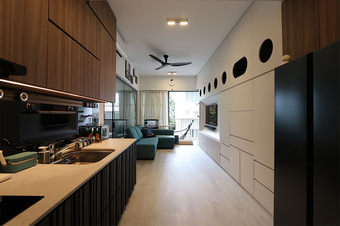 This apartment hides a cat sanctuary within its walls | Lookbox Living