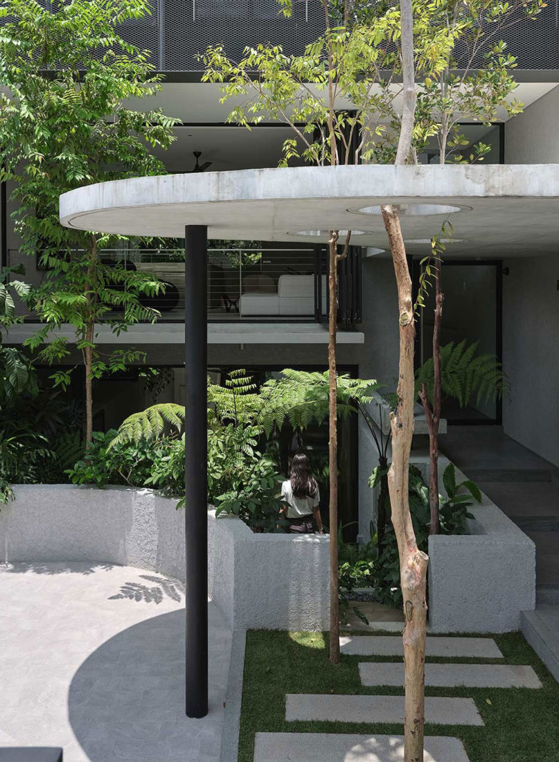 Building porosity in a terrace house | Lookbox Living