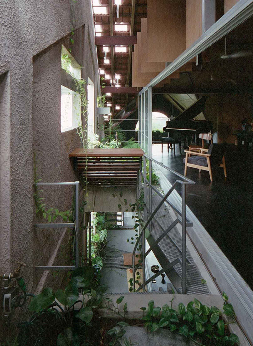 Every window is a garden | Lookbox Living