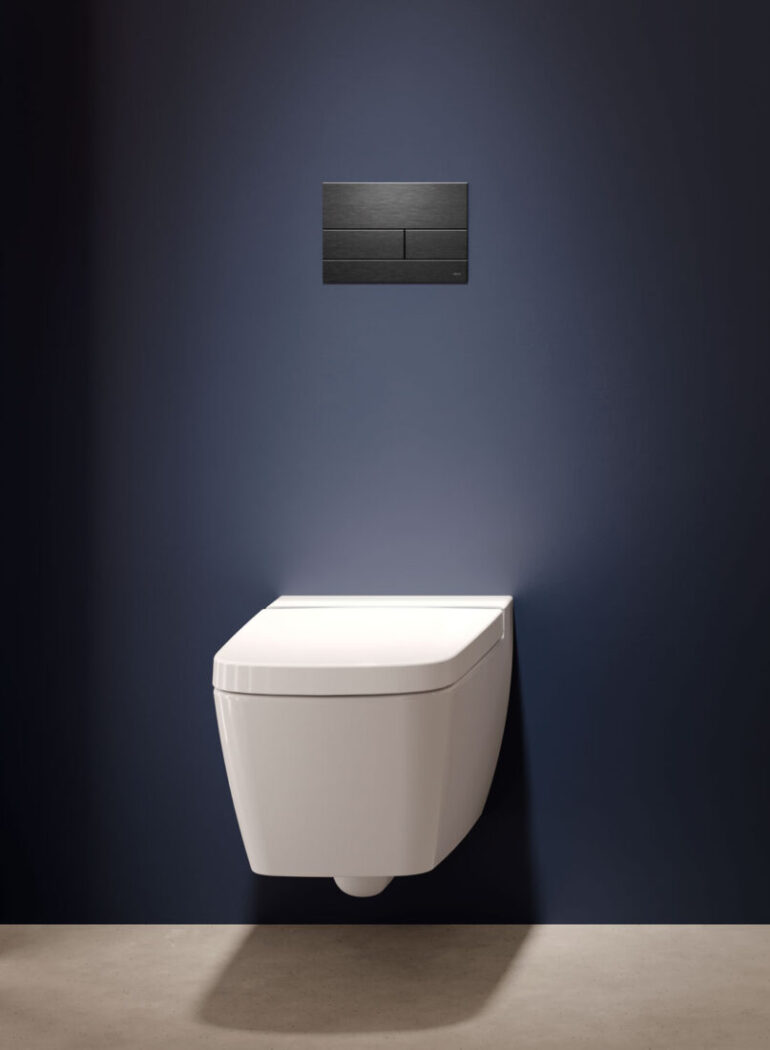 Unveiling the statement-making toilet flush plate | Lookbox Living