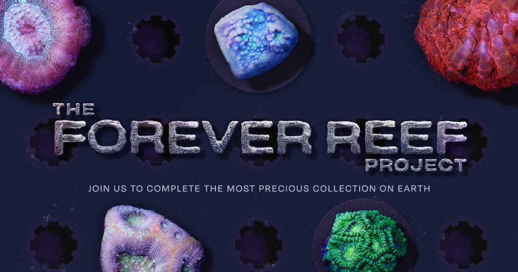 Great Barrier Reef Legacy - M+C Saatchi Group AUNZ