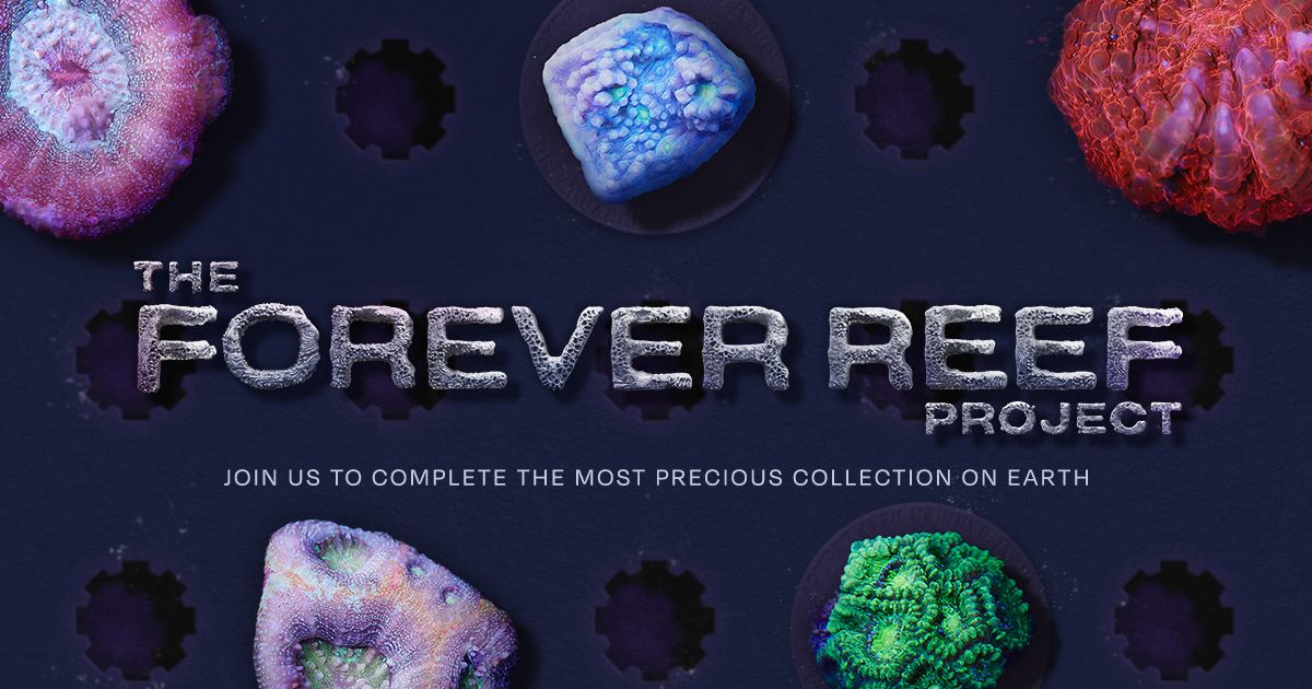 Great Barrier Reef Legacy - M+C Saatchi Group AUNZ