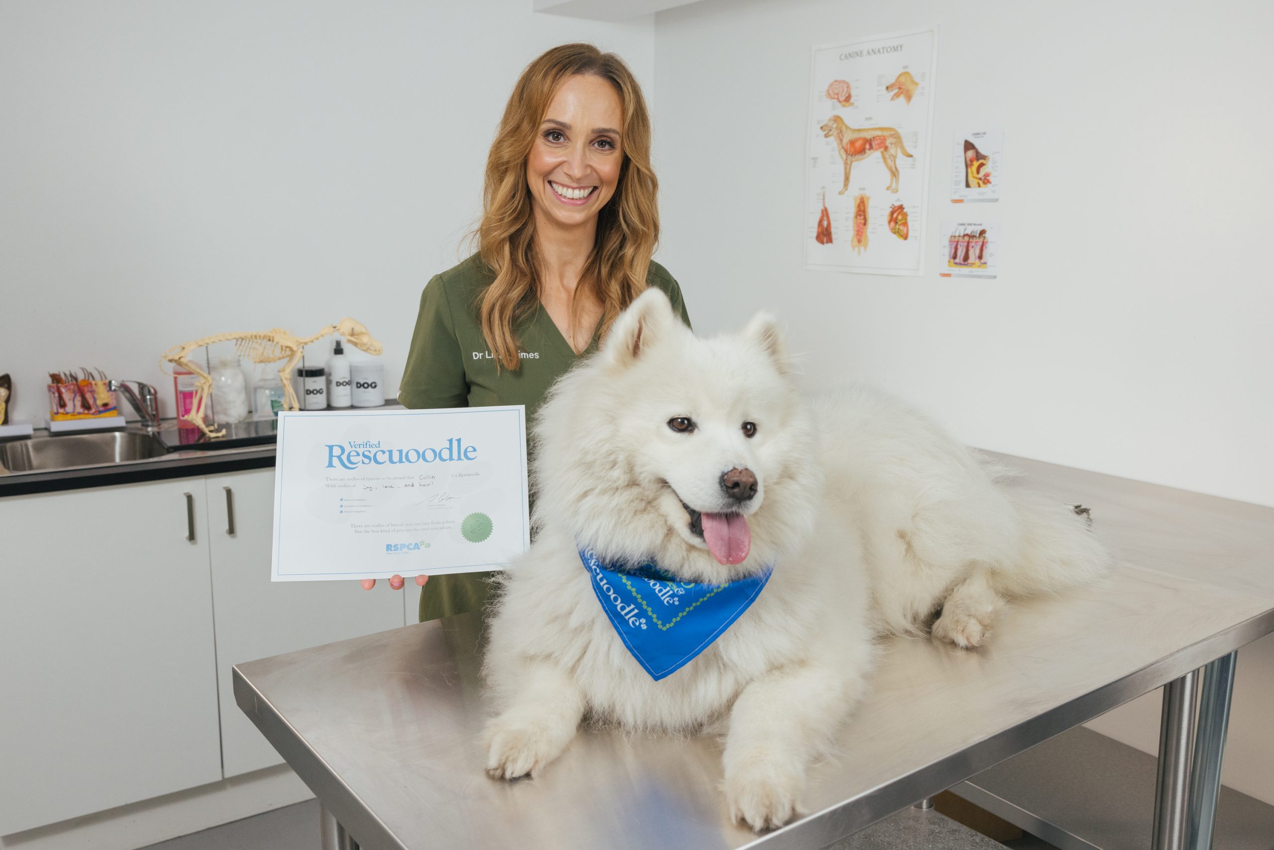 A new breed for RSPCA NSW - M+C Saatchi Group AUNZ