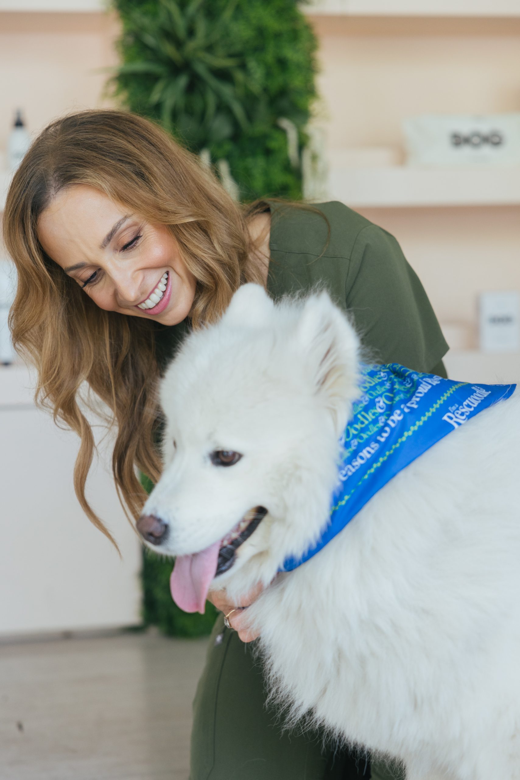 A new breed for RSPCA NSW - M&C Saatchi Group AUNZ