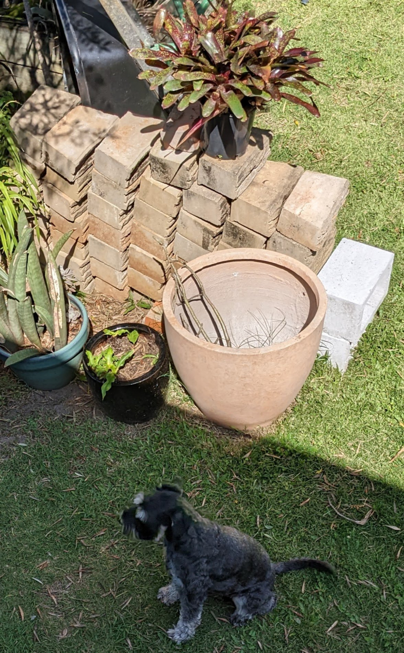 Read, Digest then Respond - Time to Create Australia