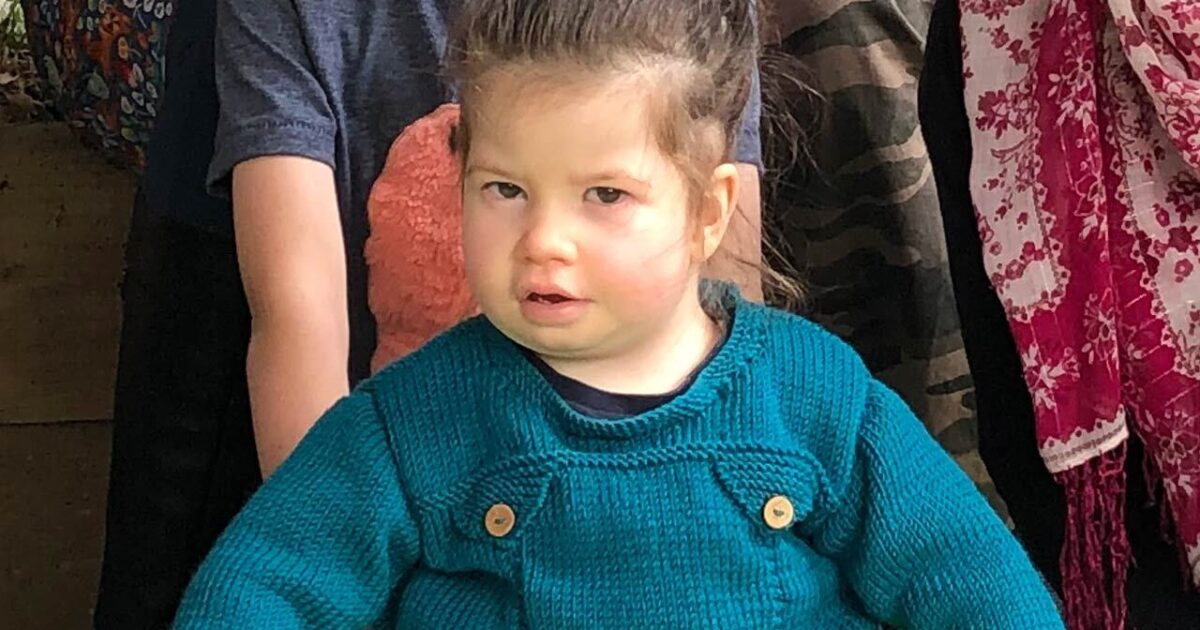 The Cowley Family's Story | Noah's Ark