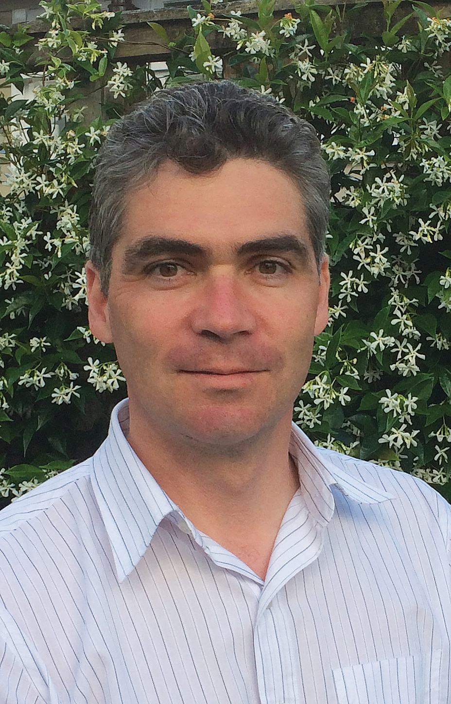 Auckland hospitals out of GP loop: Te Whatu Ora working on expanding ...