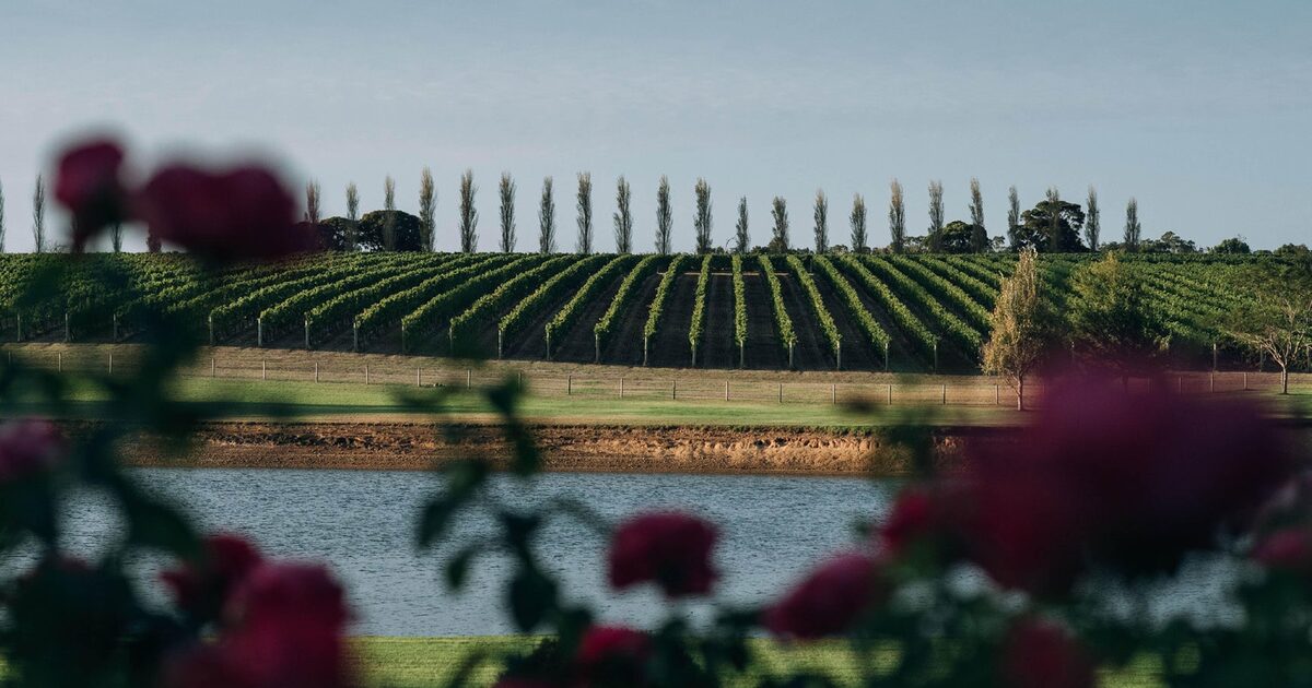 Pair'd Margaret River | Fraser Gallop Estate