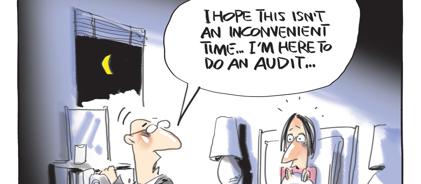 audit cartoon