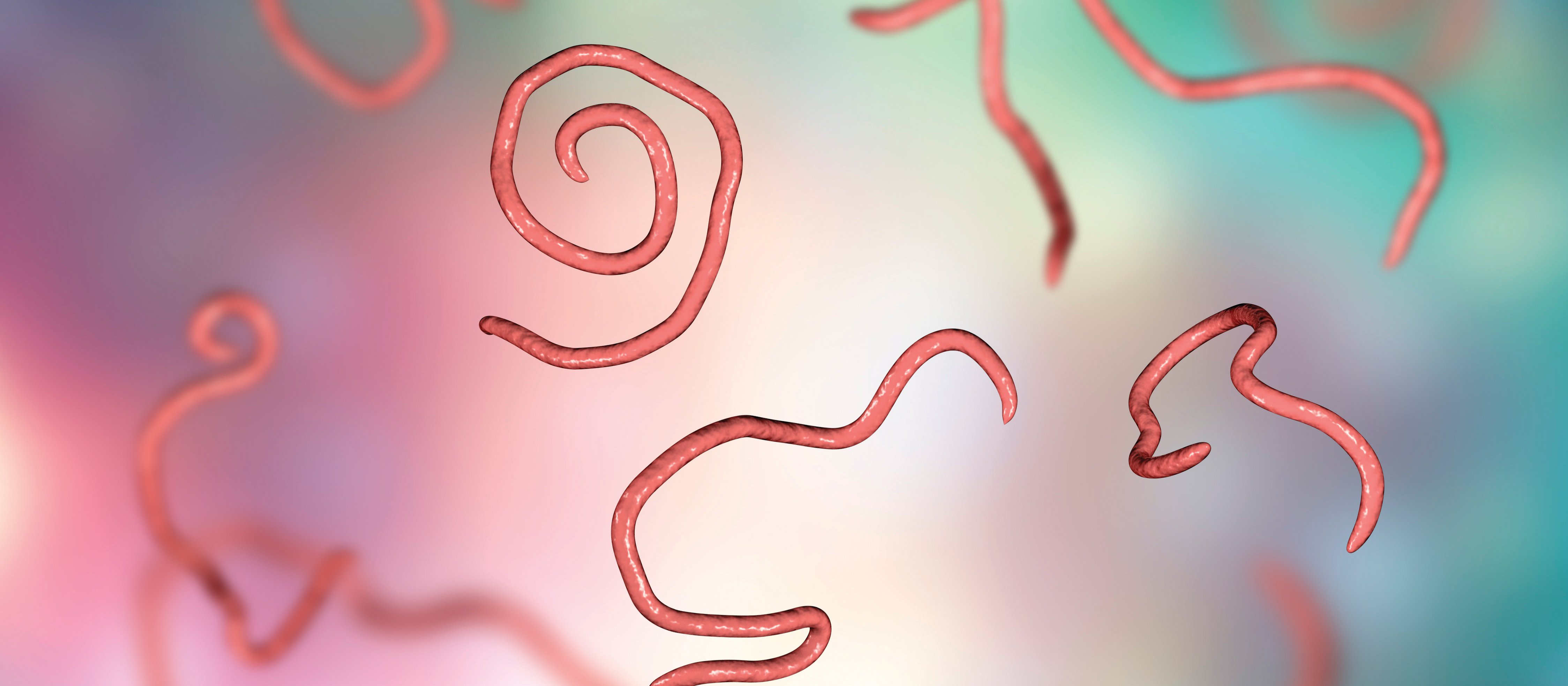 threadworms symptoms