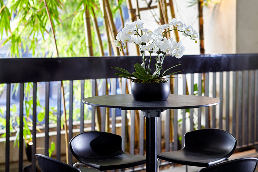 ivy Ballroom | Functions & Events Space | Sydney | Merivale