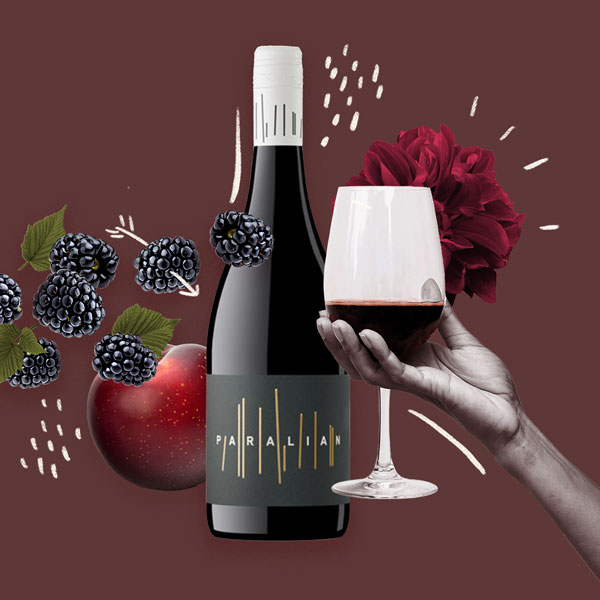 3 Wines To Watch This Winter | Meritales