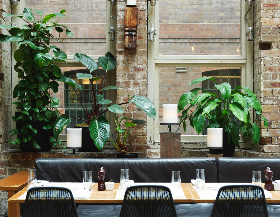 Best Restaurants & Bars for Group Dining | Sydney | Merivale