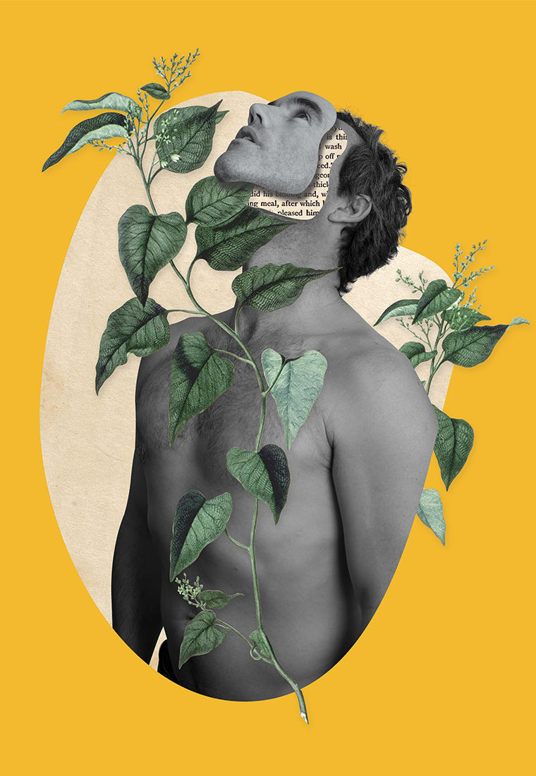 Owls Do Cry - Redleap