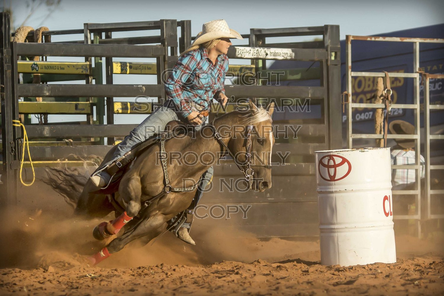 Samples - Galleries - Horses - Barrel Racing - Shadows Farm Photography