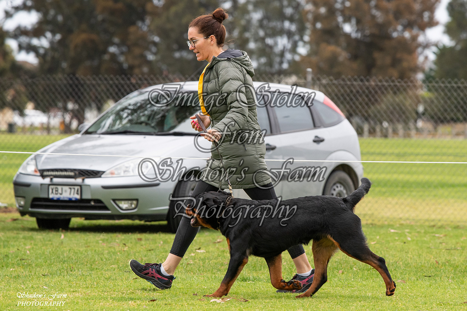 2023 ROTTWEILER CLUB OF SA 54TH CHAMP SHOW - Galleries - Dogs - Shows ...