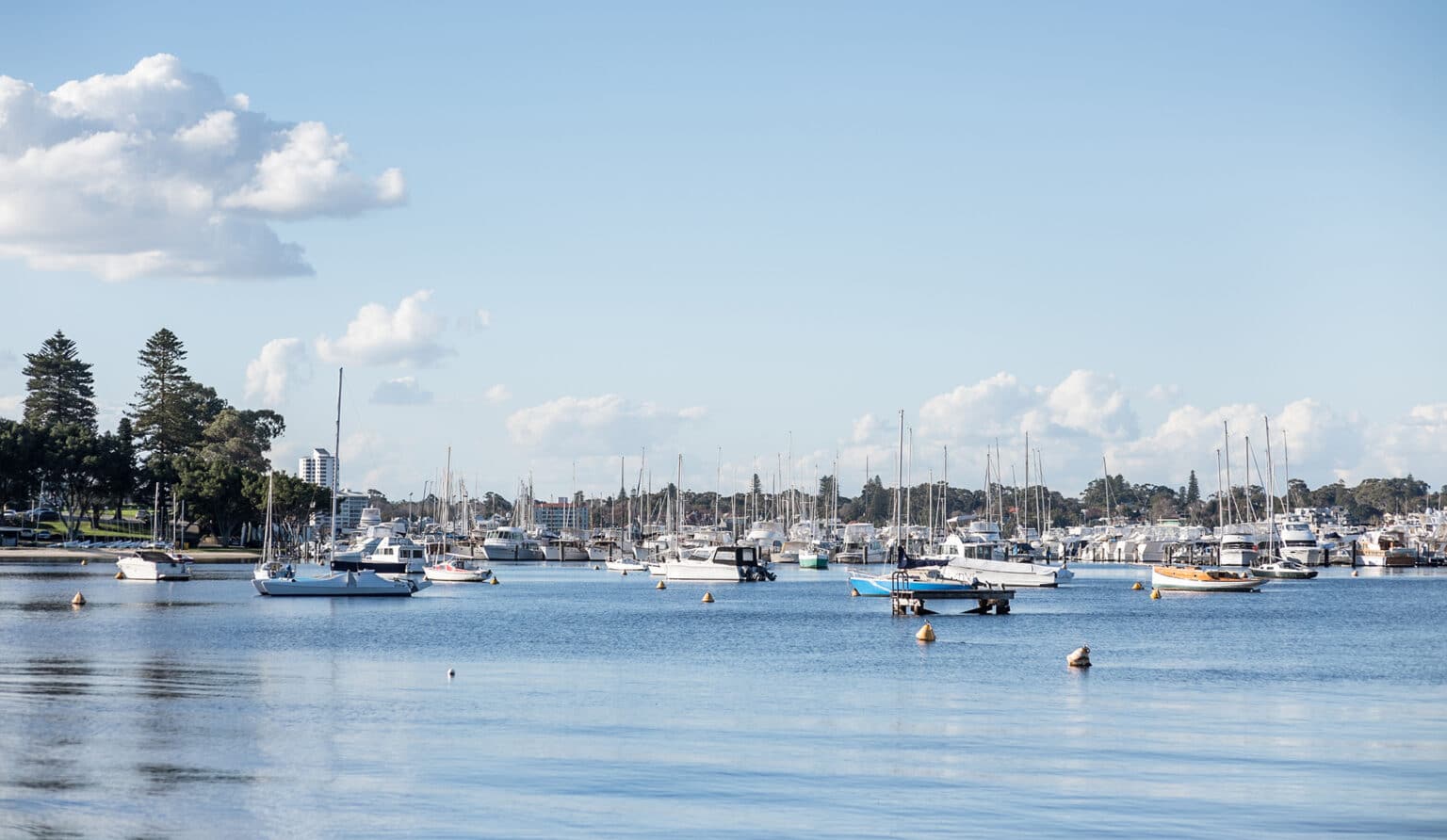 39 Keane Street - Shellabears Real Estate | Perth