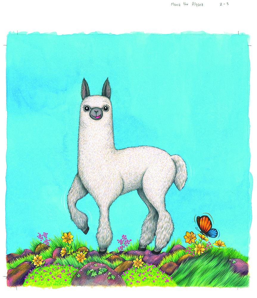 Imagine...the Wonder of Picture Books: Illustration for Macca the ...