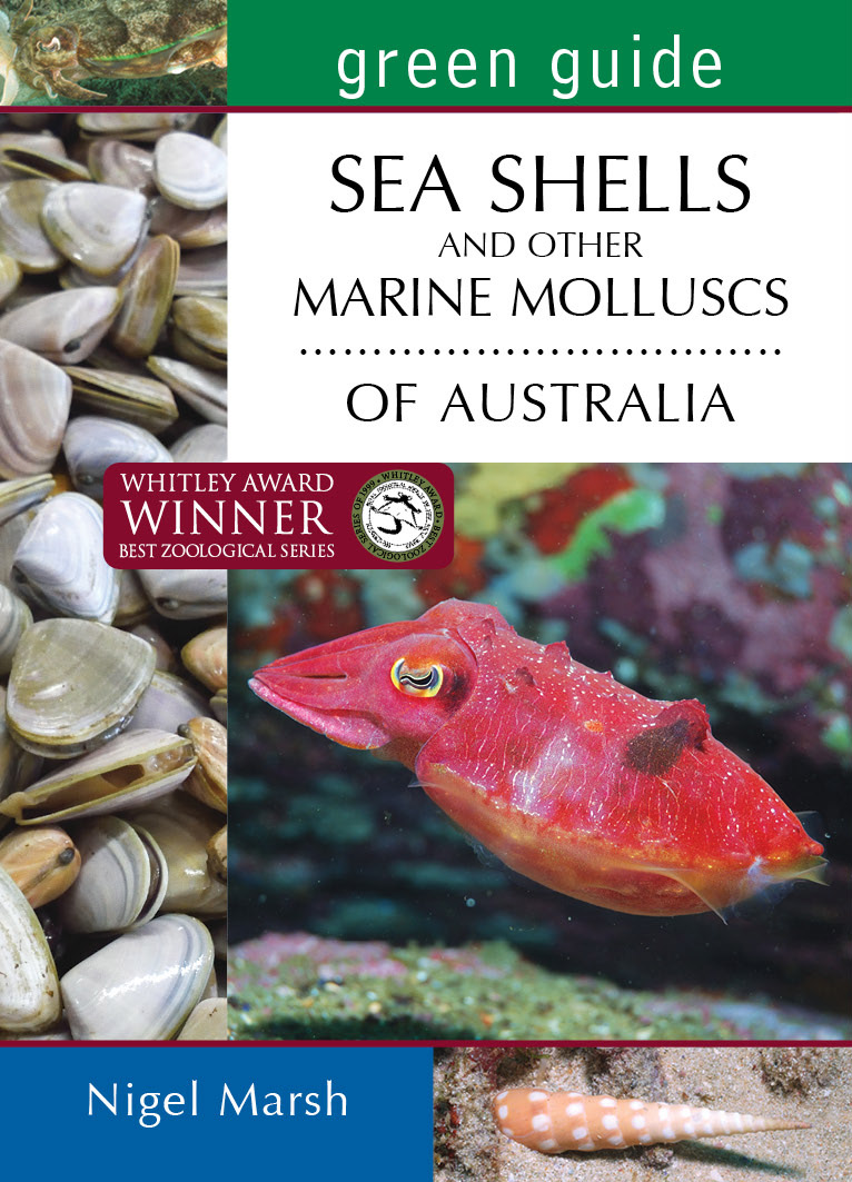 Green Guide Seashells and other Molluscs of Australia - Library Shop ...