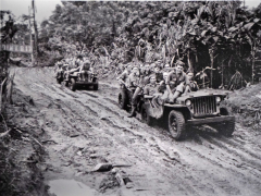 David Trist | NSW War Memorials Register