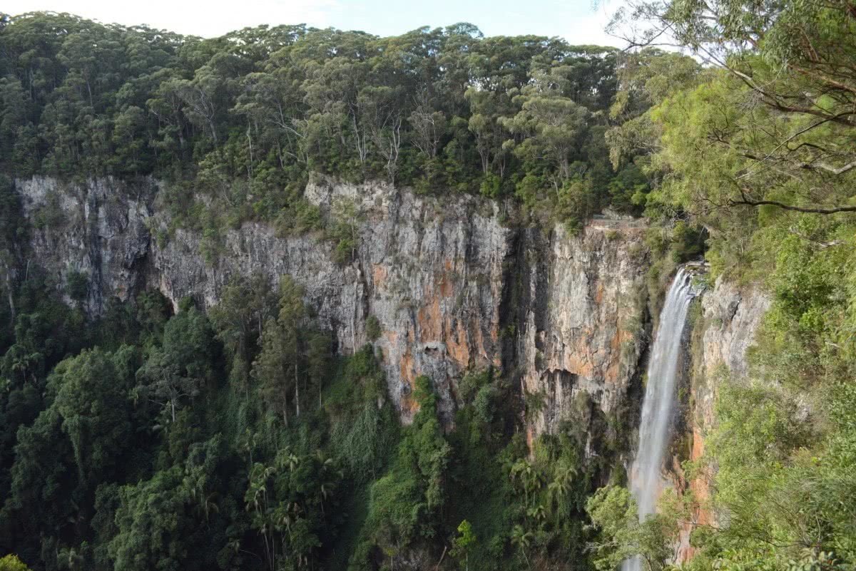 Chase 4 Waterfalls in 1 Day at Springbrook National Park - We Are Explorers