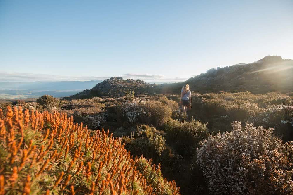 Guide to Mount Roland Hike in Tasmania – We Are Explorers