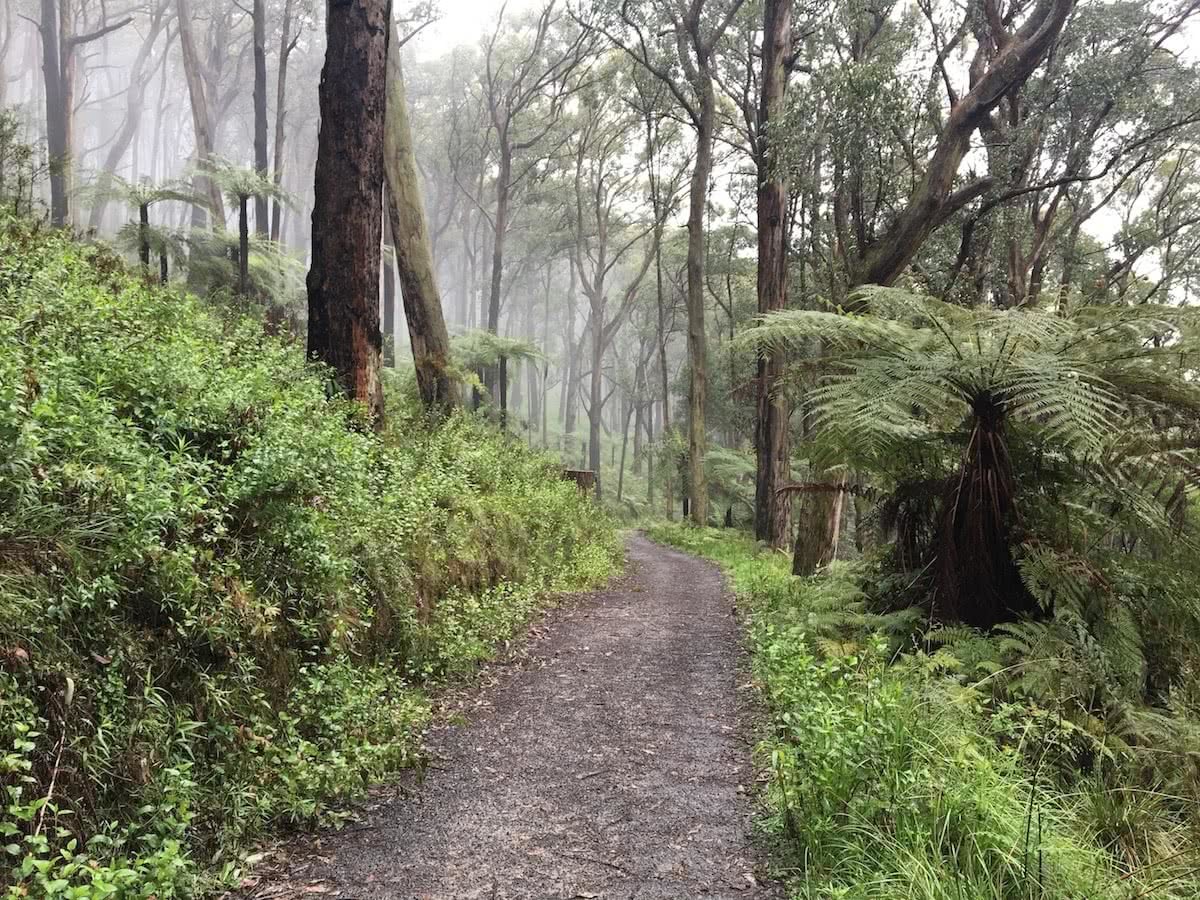 Four Best Hikes in Melbourne’s Outer-East | Victoria - We Are Explorers