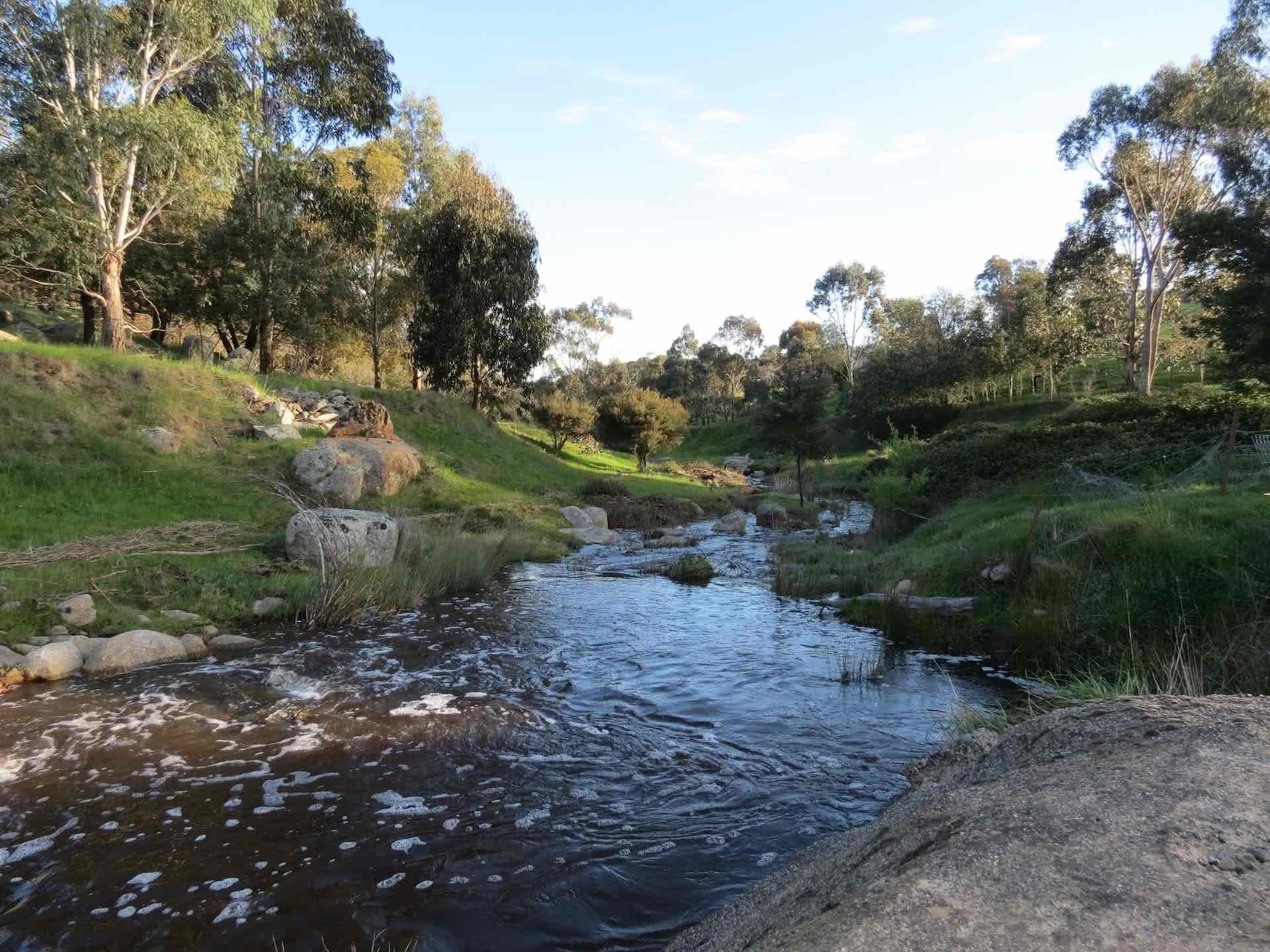 Victoria Camping 2023 – 14 Idyllic Sites - We Are Explorers