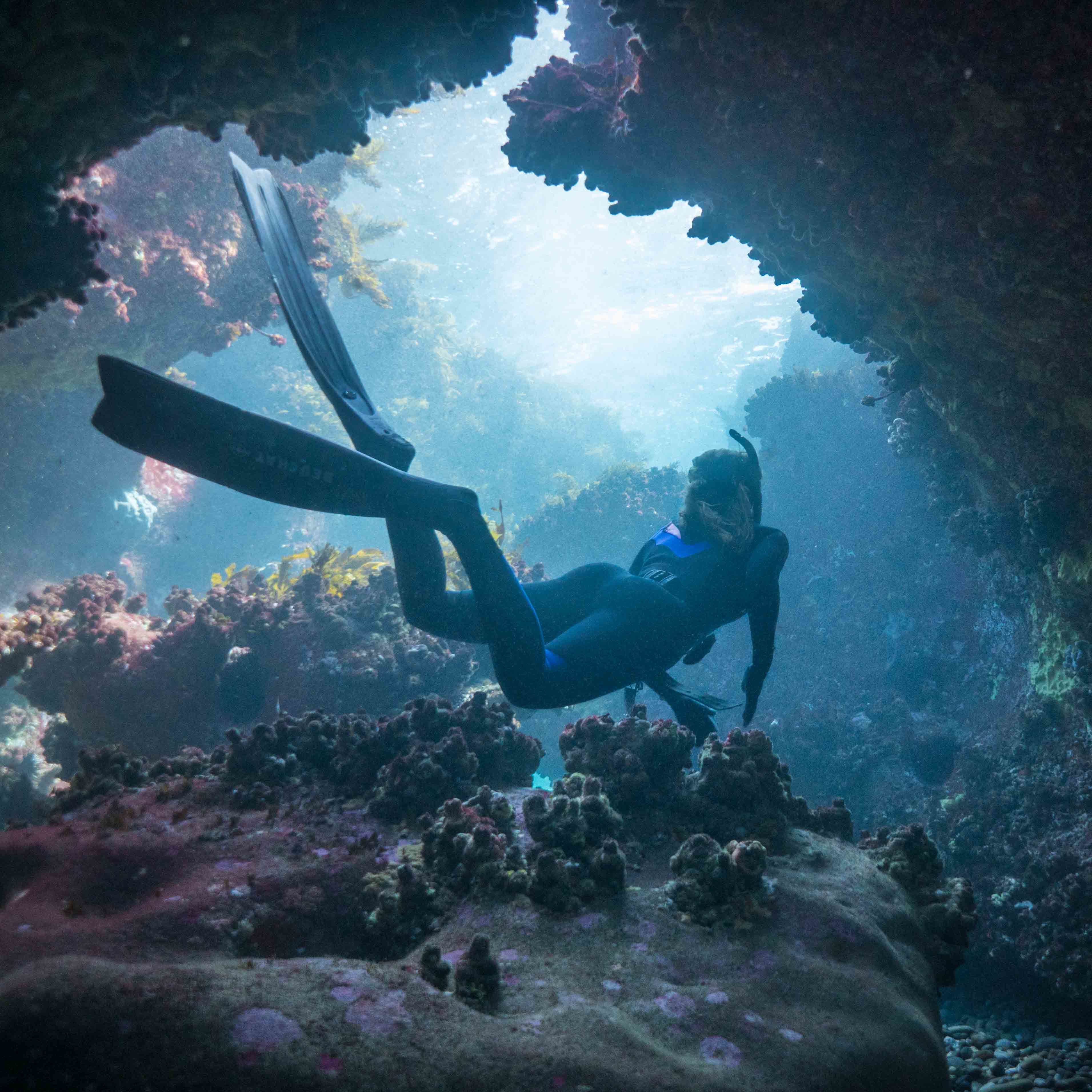 How To Start Freediving - A Guide For Beginners - We Are Explorers