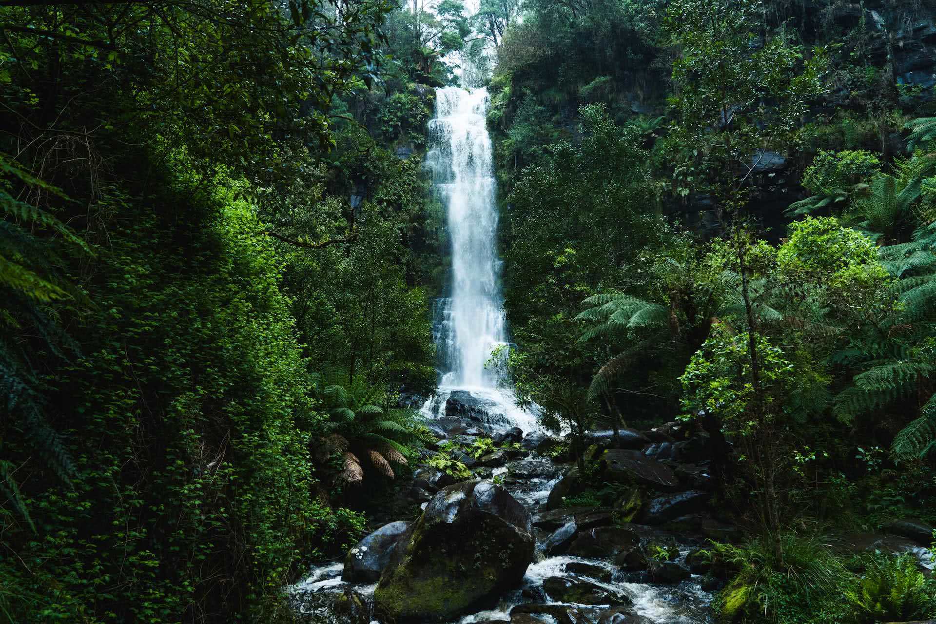 10 Waterfalls Worth Chasing in Victoria - We Are Explorers