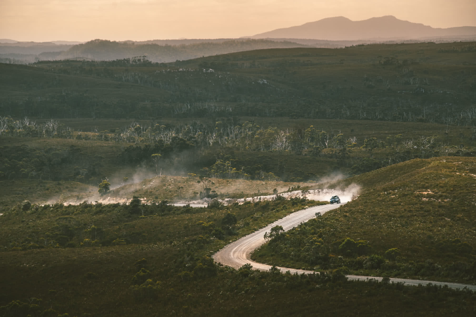The Beauty Of The Tarkine Drive - We Are Explorers