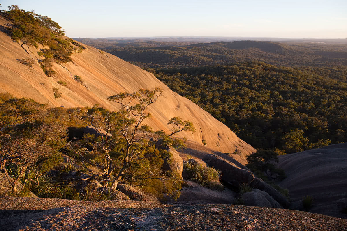 The Bare Beauty Of Bald Rock National Park