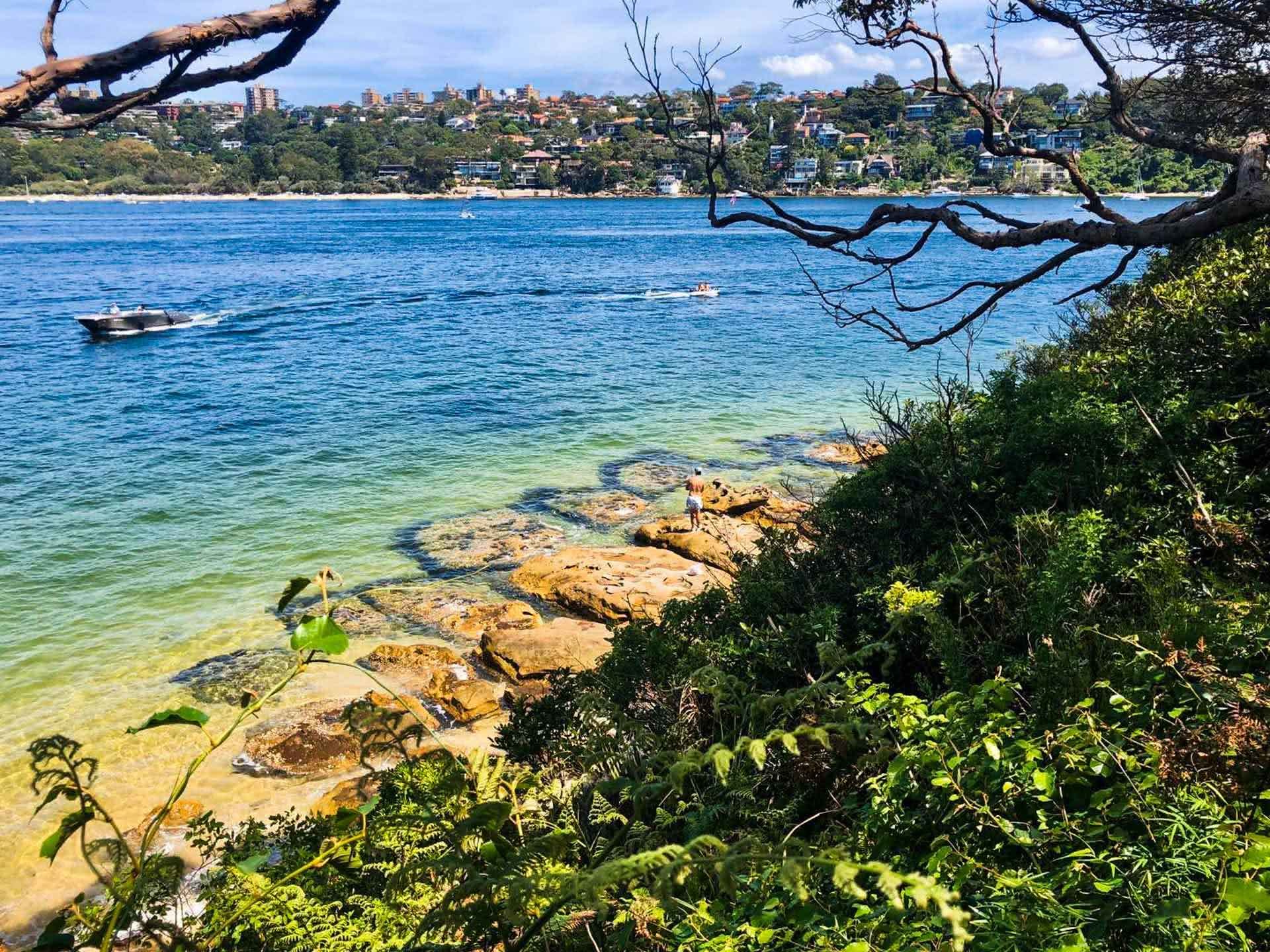 Spit Bridge to Manly Walk, Sydney's Best Hike? - We Are Explorers
