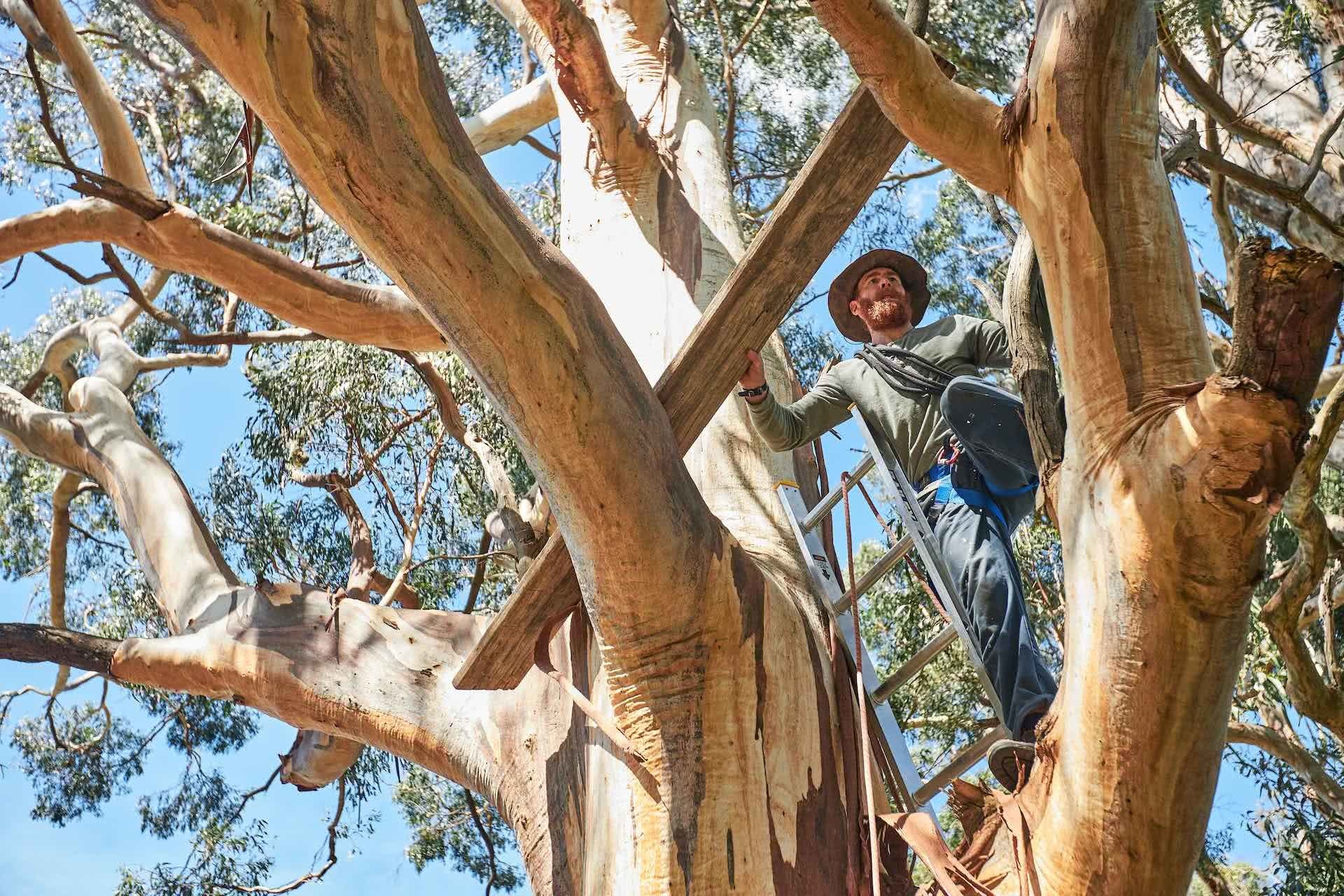 Beau Miles on Sleeping Up a Gum Tree in His Own Backyard - Podcast Ep 8 ...