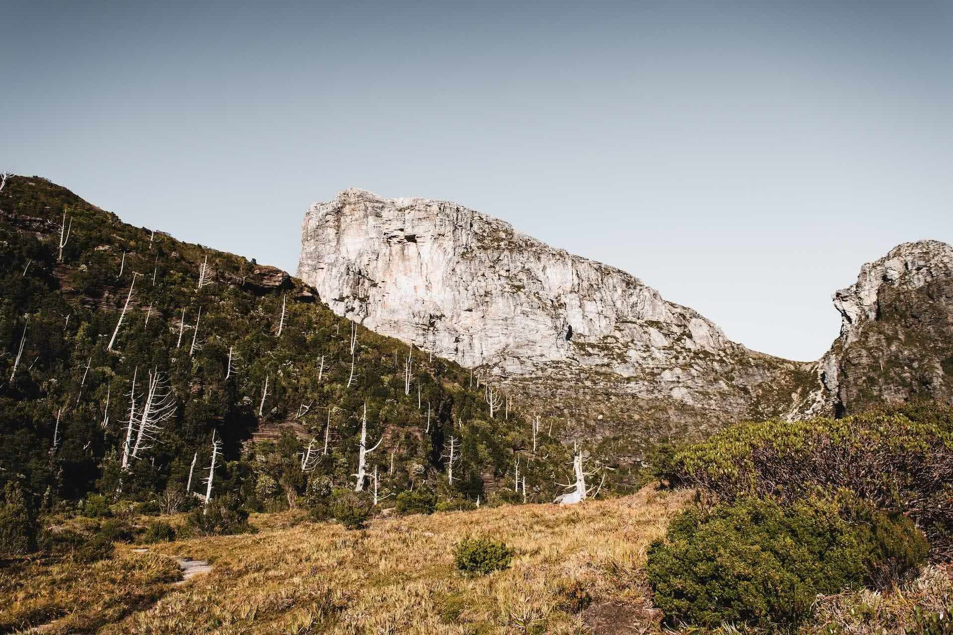 Fastpacking Frenchmans Cap in 2 Days (TAS) - We Are Explorers