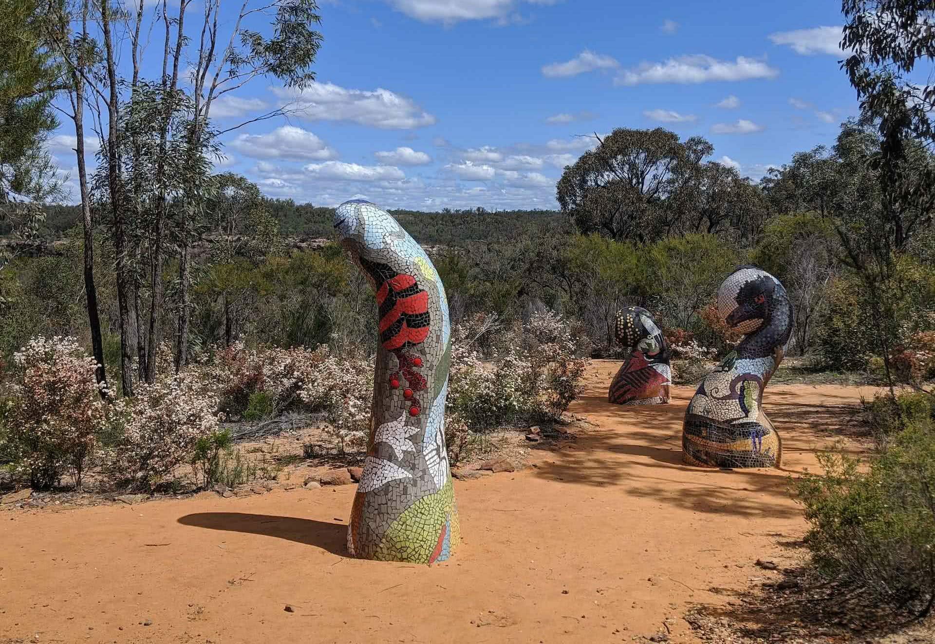 Pilliga Forest is Where Nature and Culture Collide - We Are Explorers