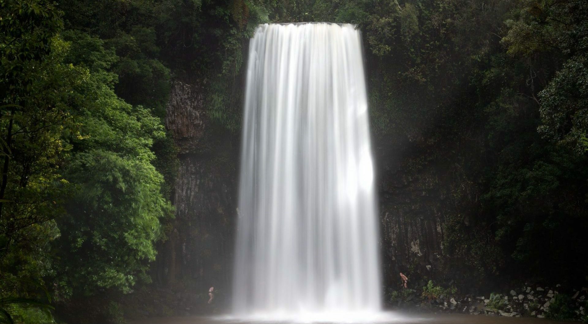 Millaa Millaa Falls is The Perfect Place to Get Your Feet Wet - We Are ...