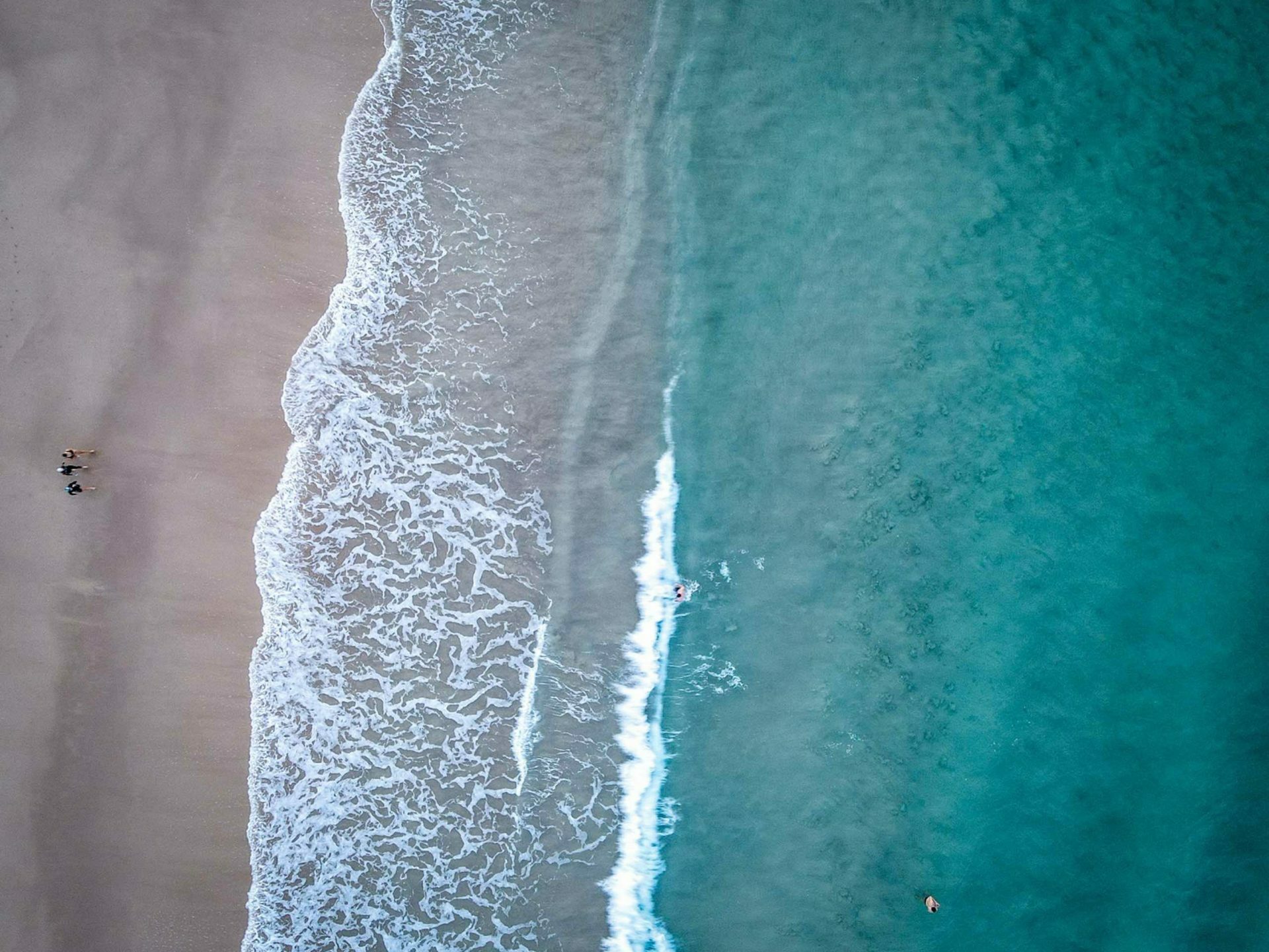 Everything You Need to Know About Open Water Swimming in Sydney 2025 ...